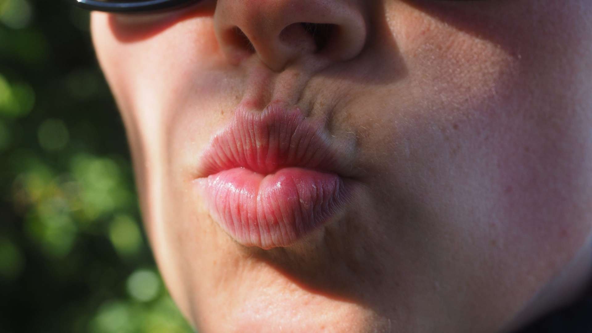 La Petite Histoire… de la bise | Le Prog