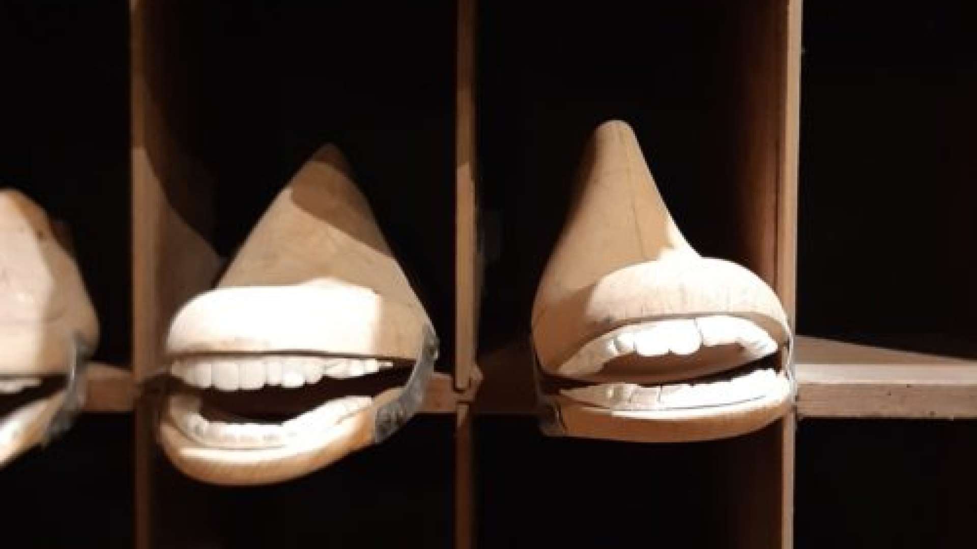 ANATOMIE D’UN PAS PERDU RICHARD RAK | Le Prog