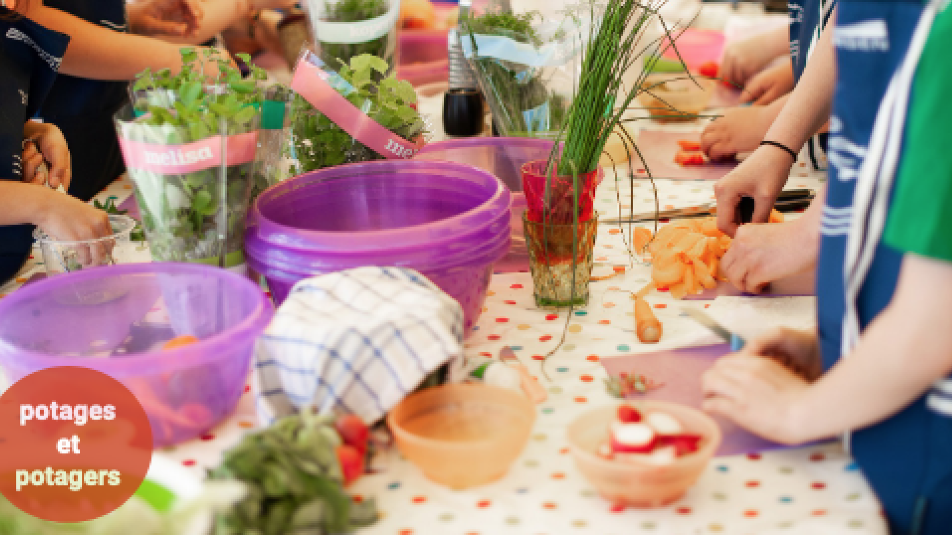 POTAGES ET POTAGERS : ATELIER "DU POTAGER AU POTAGE" | Le Prog