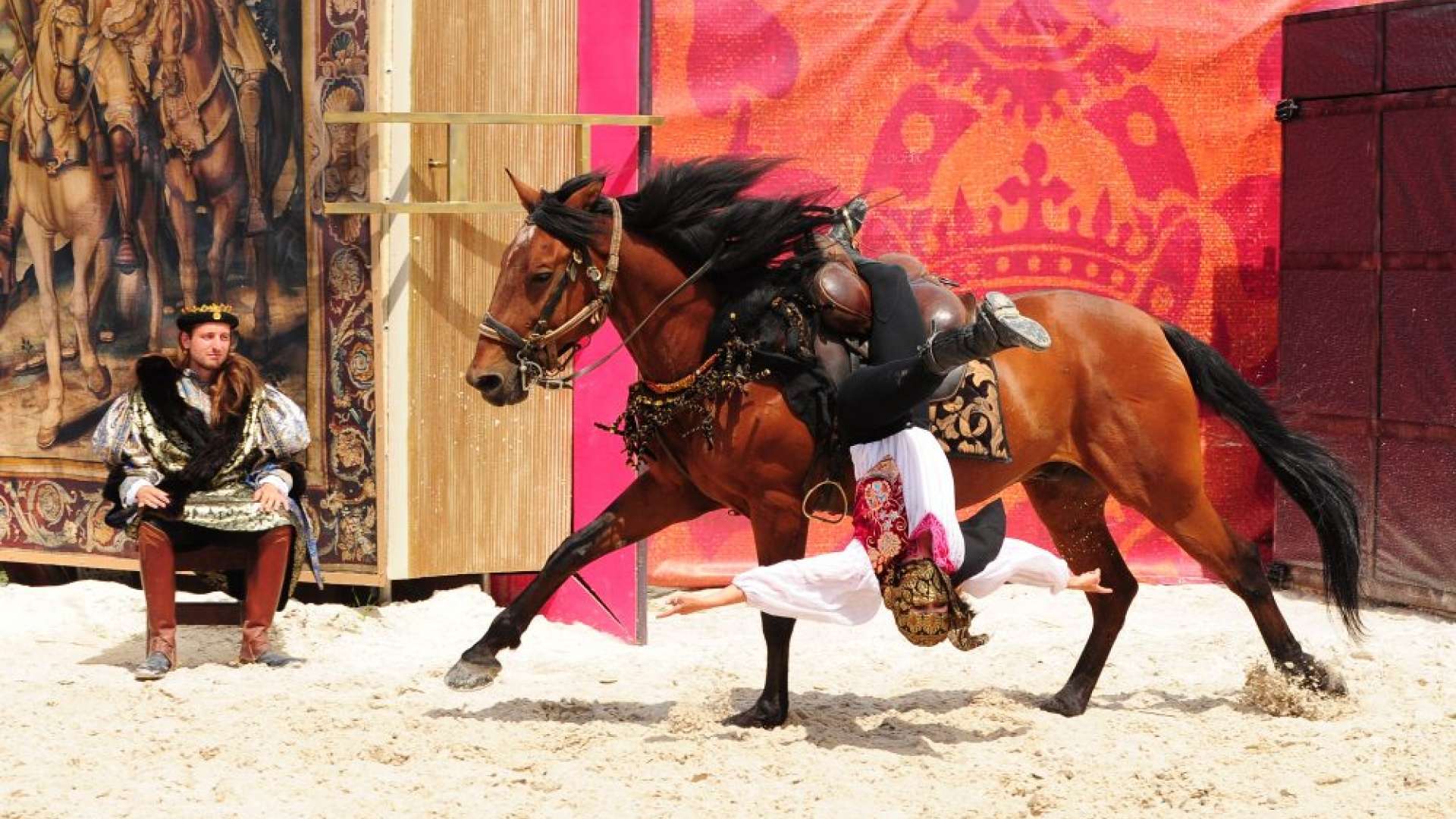 Spectacle chevaux et rapaces au Château de Chambord | Le Prog