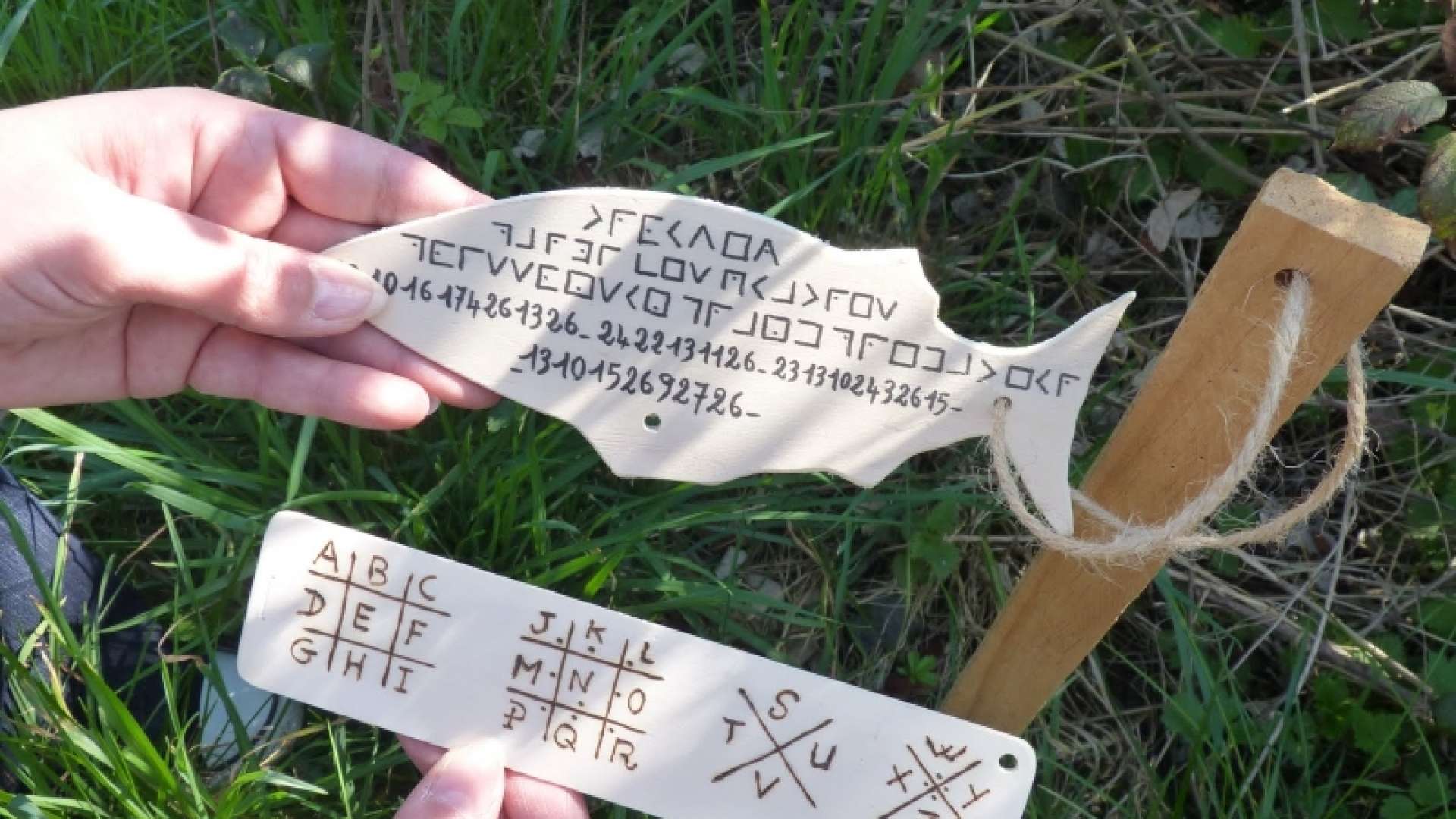 Les prairies du Roy en jeu de pistes nature | Le Prog